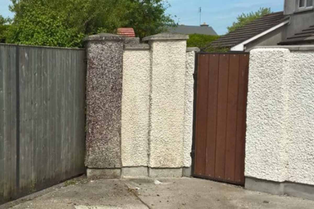 Red Algae Stain Removals On Walls Munster - Free Estimates, Unbeatable ...